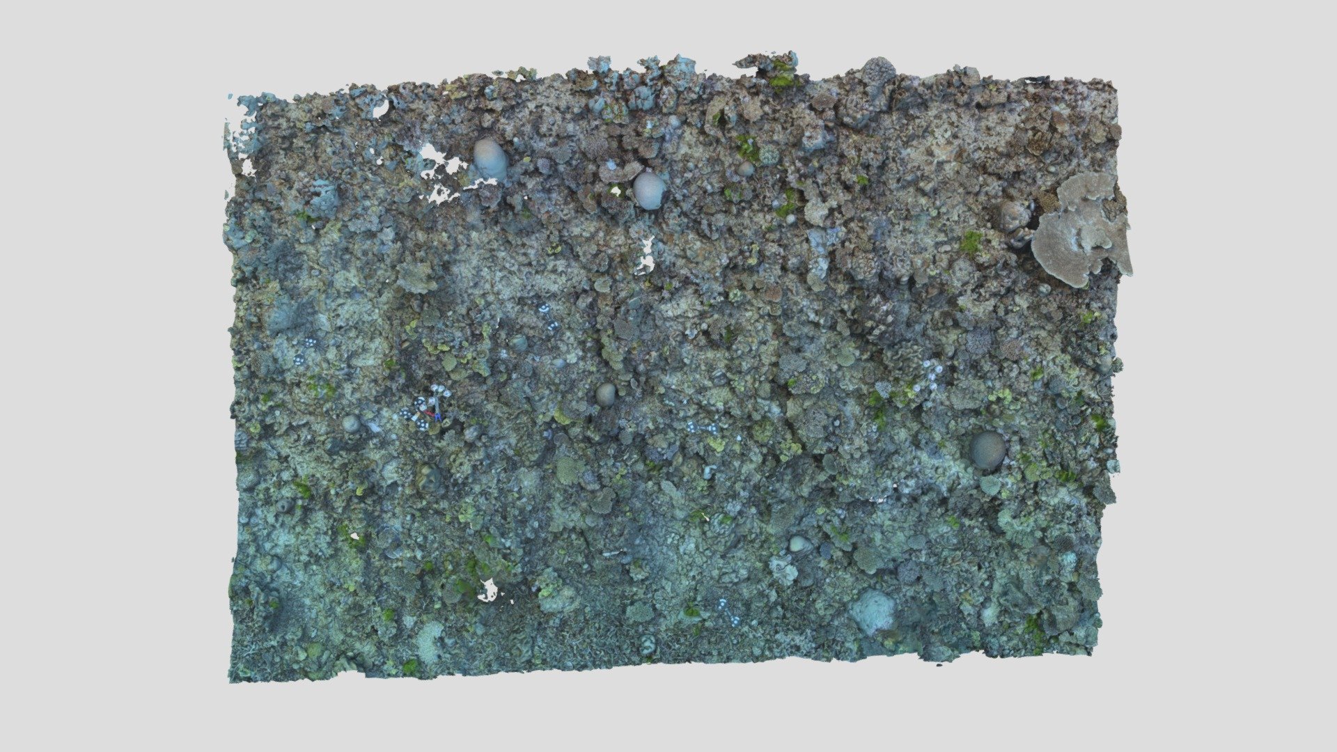 Heron_FR2S_P3_202105 - Download Free 3D model by EcoRRAP (@AIMSEcoRRAP ...