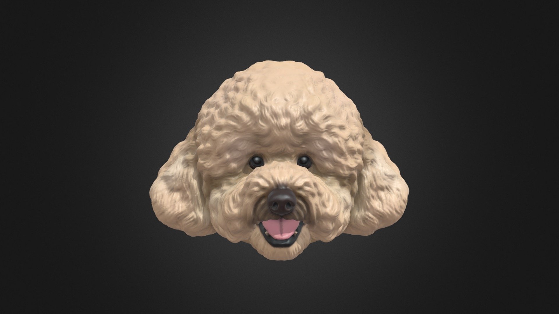 Ricky's Poodle - 3D model by Seed by mi (@seedbymi) [a35e59b] - Sketchfab