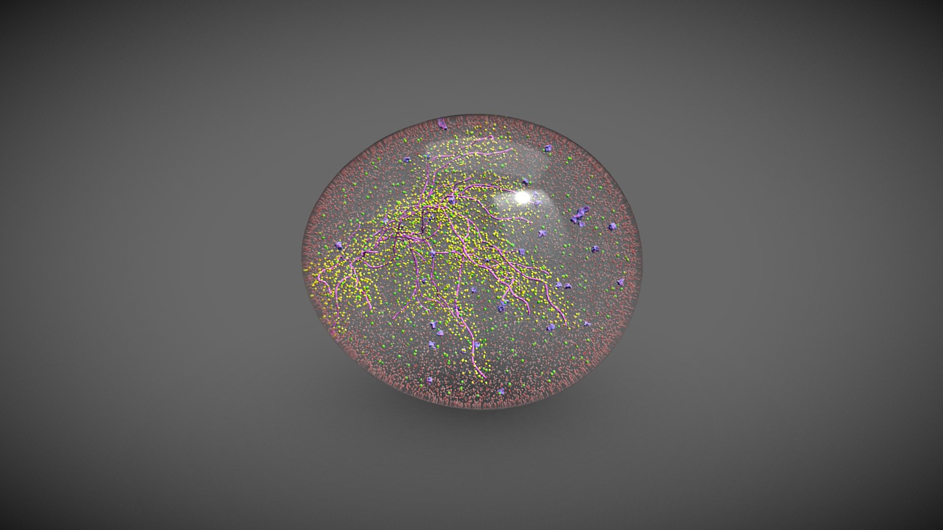 xirou3 - 3D model by Leon Tung (@leontung999) [a36398b] - Sketchfab