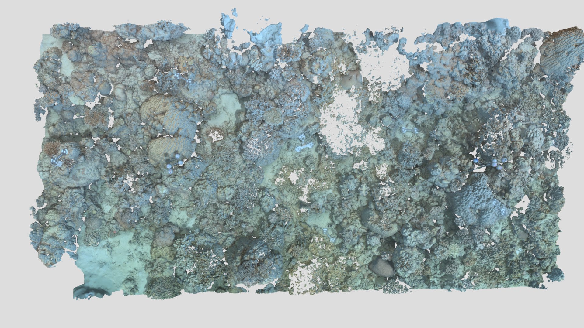 Masig_FL1S_P3_202104 - Download Free 3D model by EcoRRAP (@AIMSEcoRRAP ...