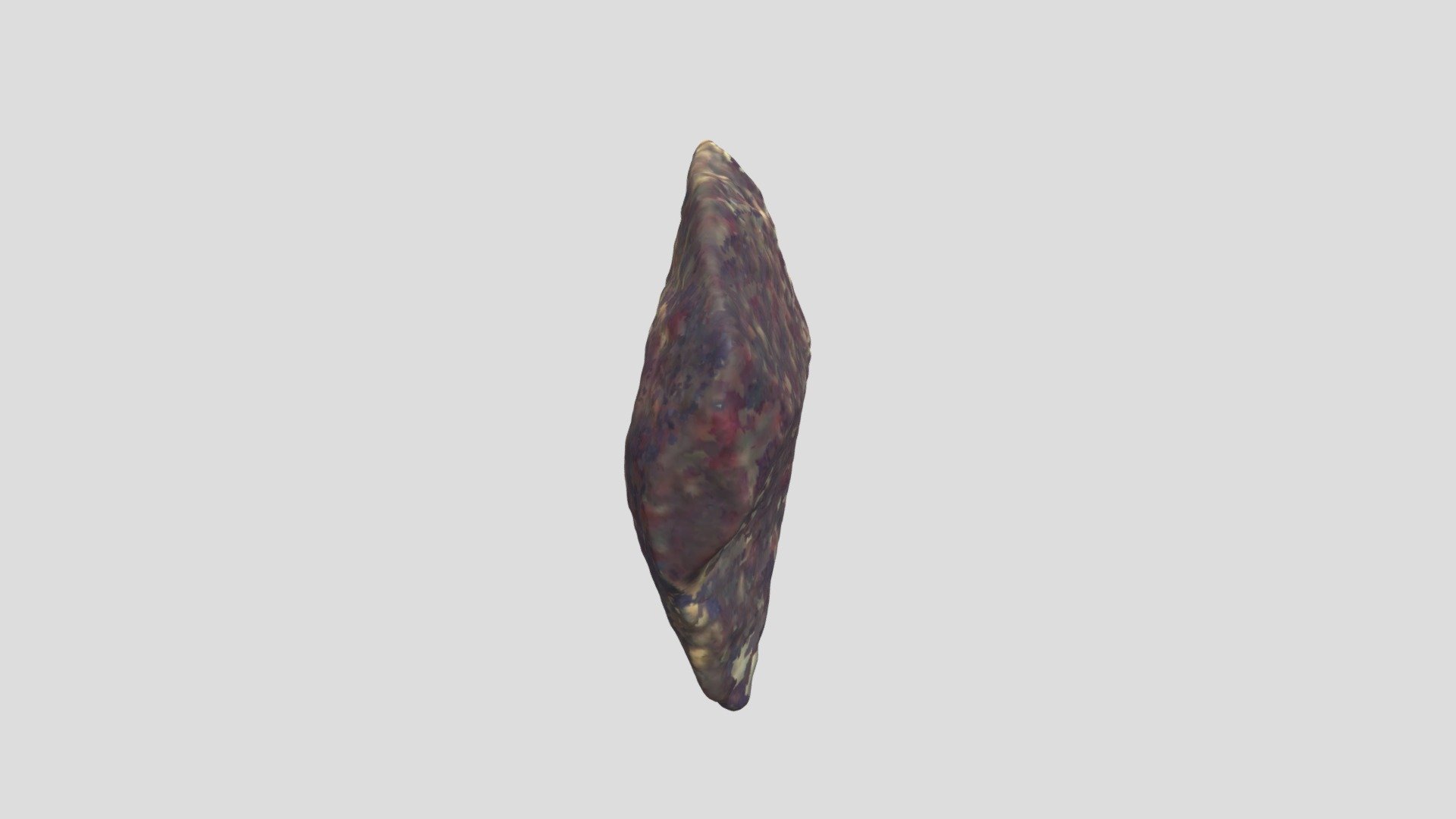 SIDE SCRAPER - 3D model by Lakehead Anthropology (@LakeheadAnthropology ...