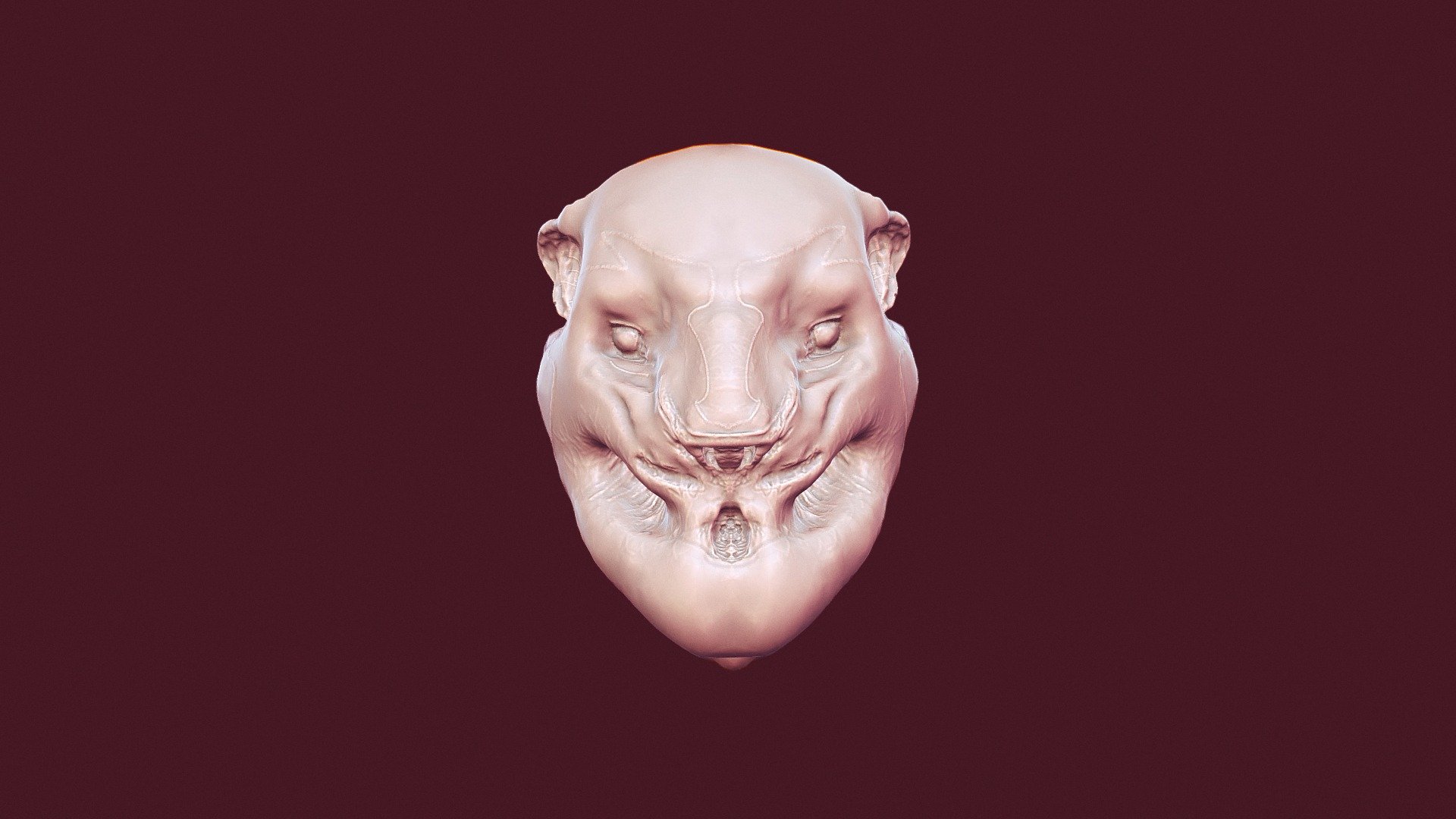 ALIENCAT - 3D model by Coco - Piret (@Trotros) [a36f0fb] - Sketchfab