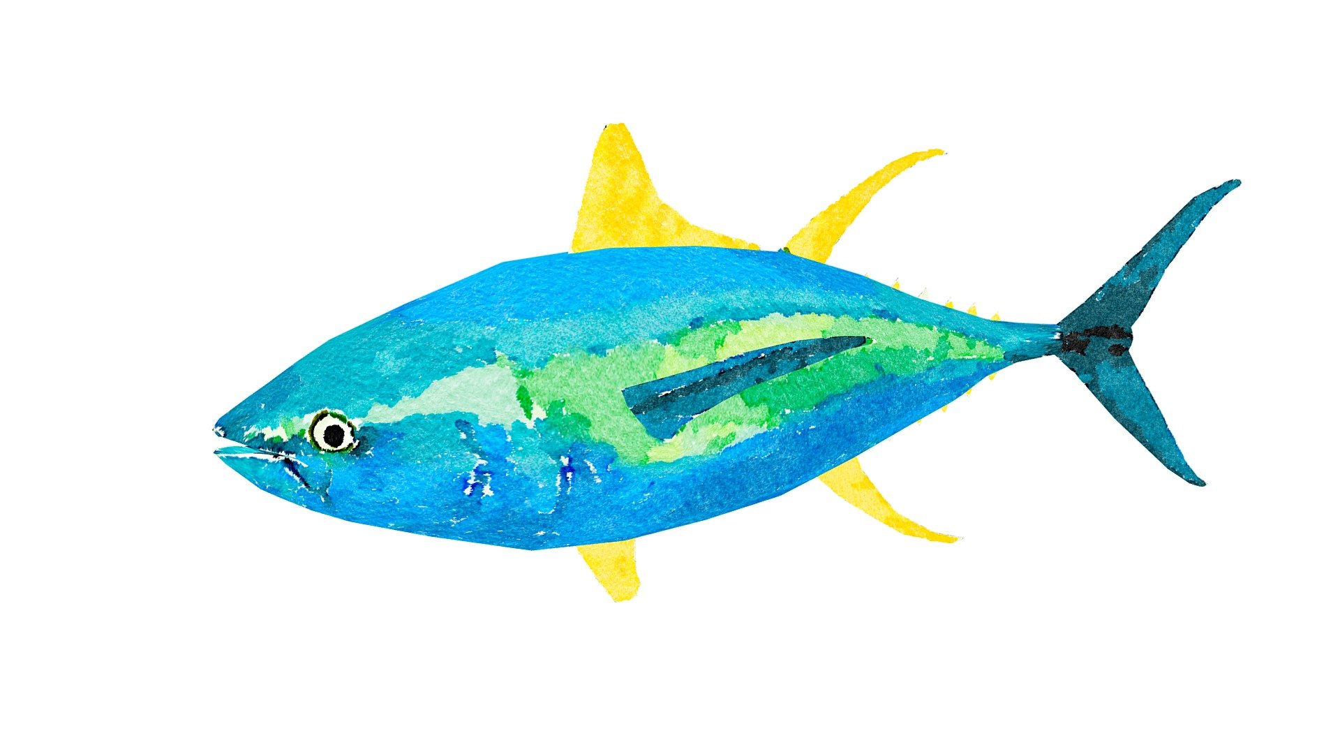 Yellowfin Tuna - 3D model by josluat91 [a36f509] - Sketchfab