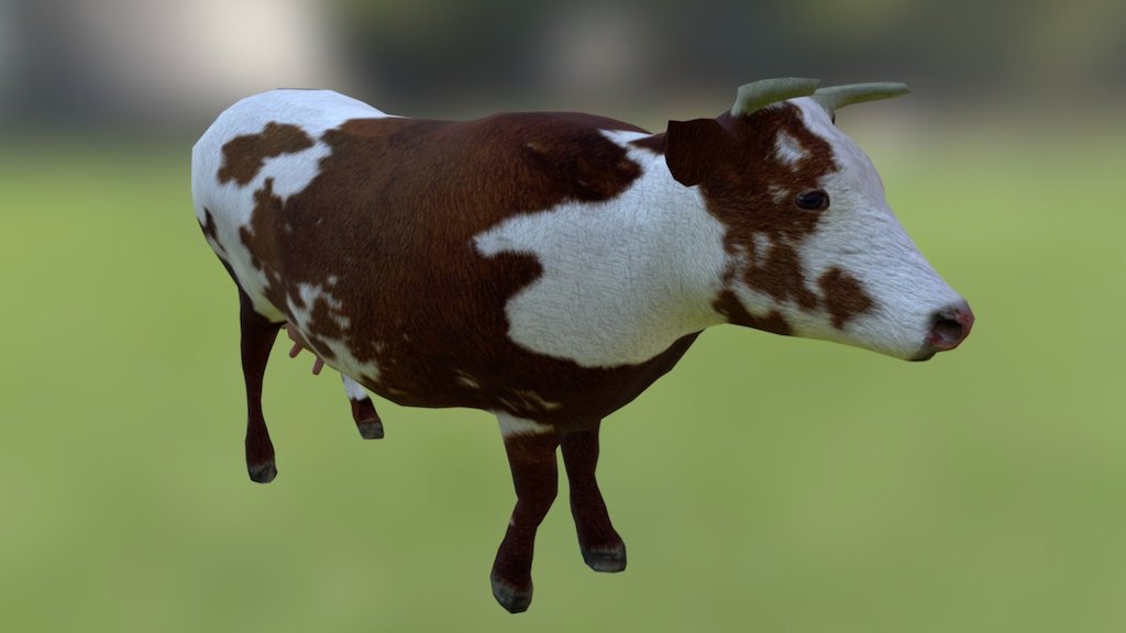 Cow - 3D model by quentin_letren [a36fd60] - Sketchfab