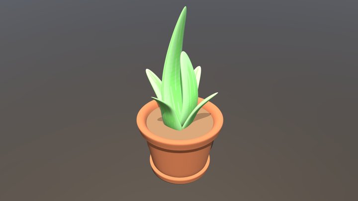 Dracaena 3D models - Sketchfab
