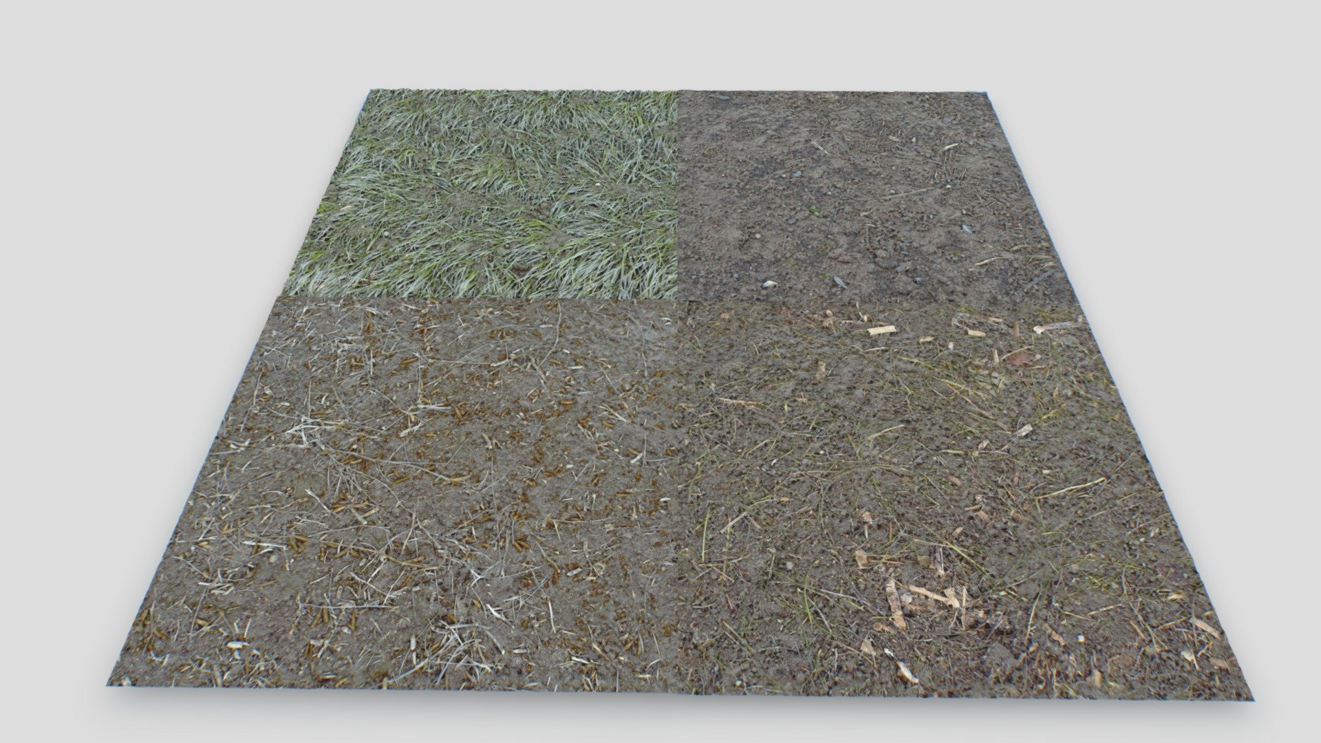 Forest dirt Pack 4 - Buy Royalty Free 3D model by 32cm [a37690f ...