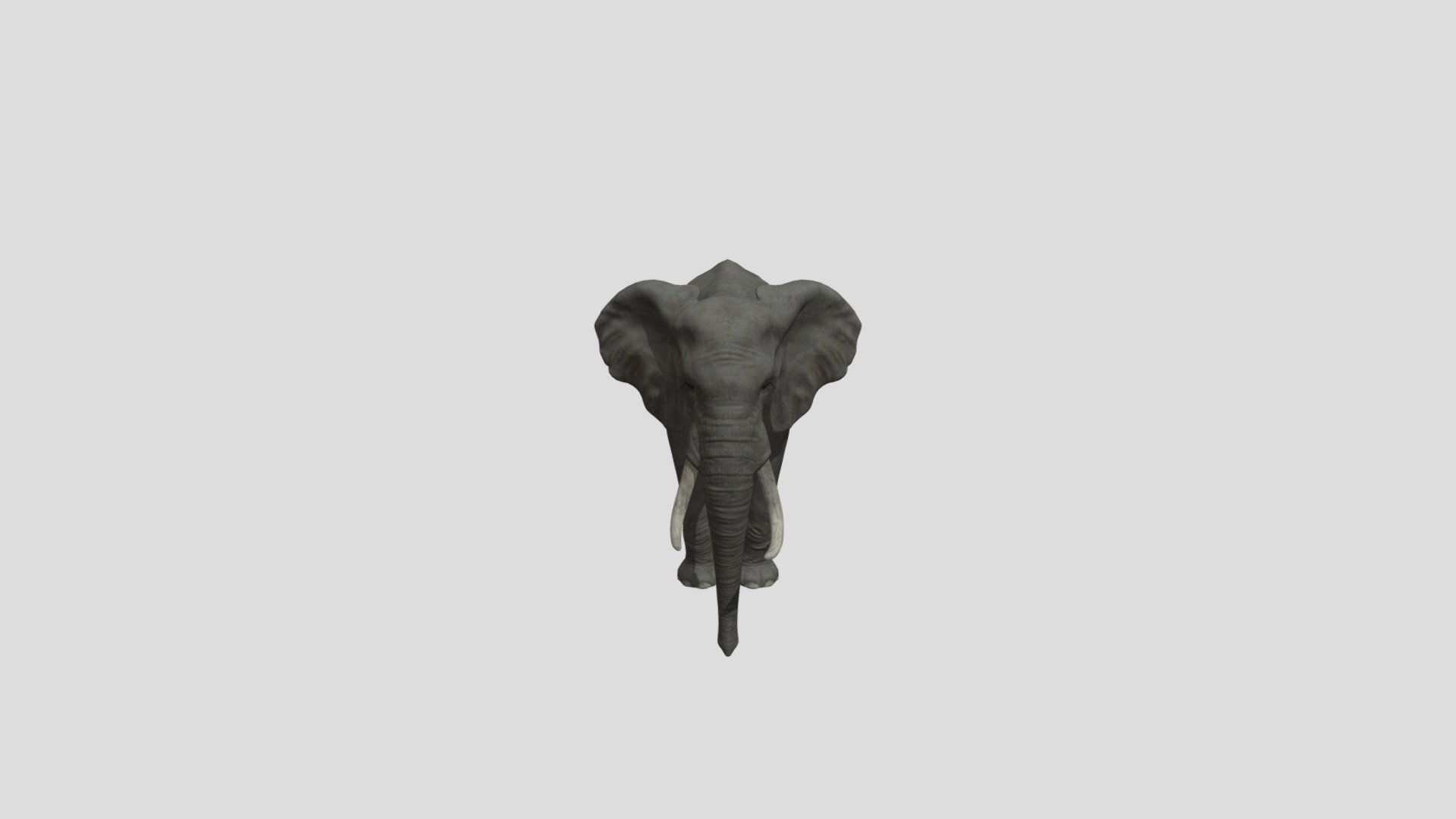elefante planet zoo - Download Free 3D model by Zenke (@nivaldaschaeffer) [a3793cd] - Sketchfab