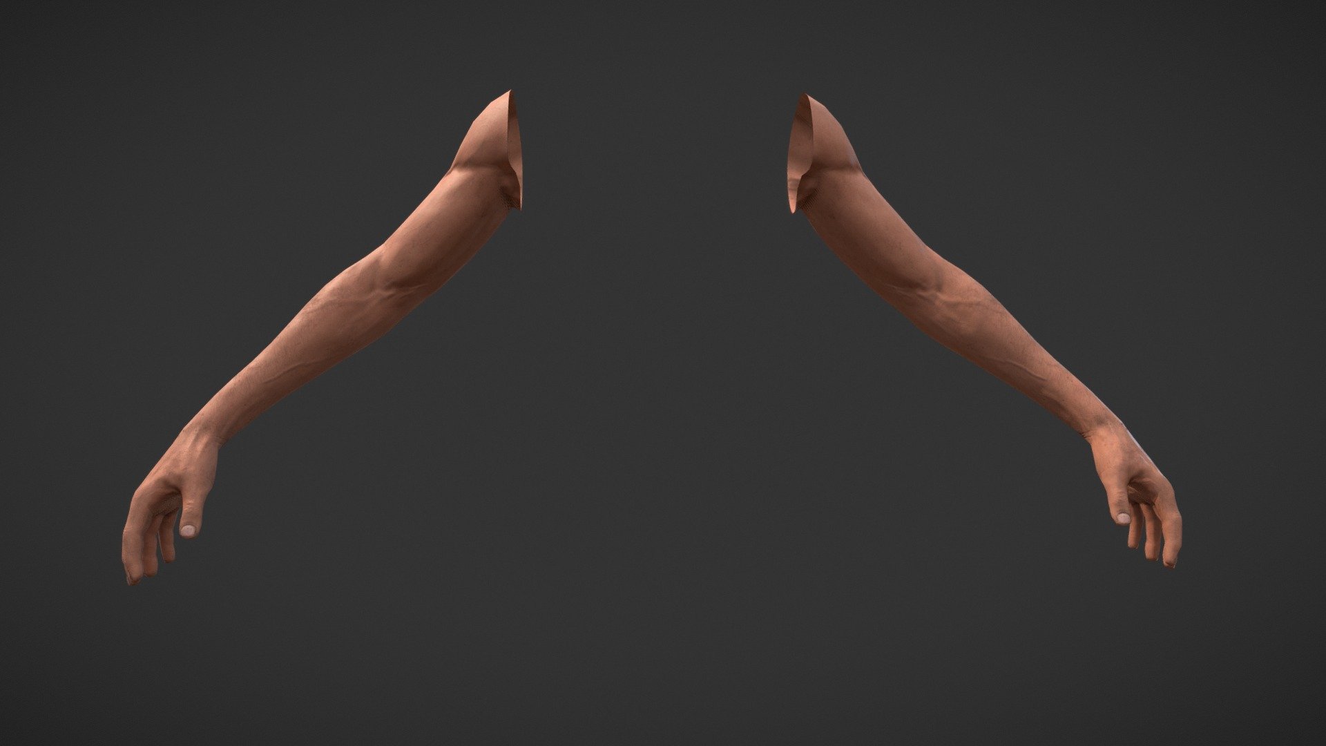 Arms V2 Rigged - 3D model by Pavel Averchenkov (@averchenkov) [a37a7f1 ...