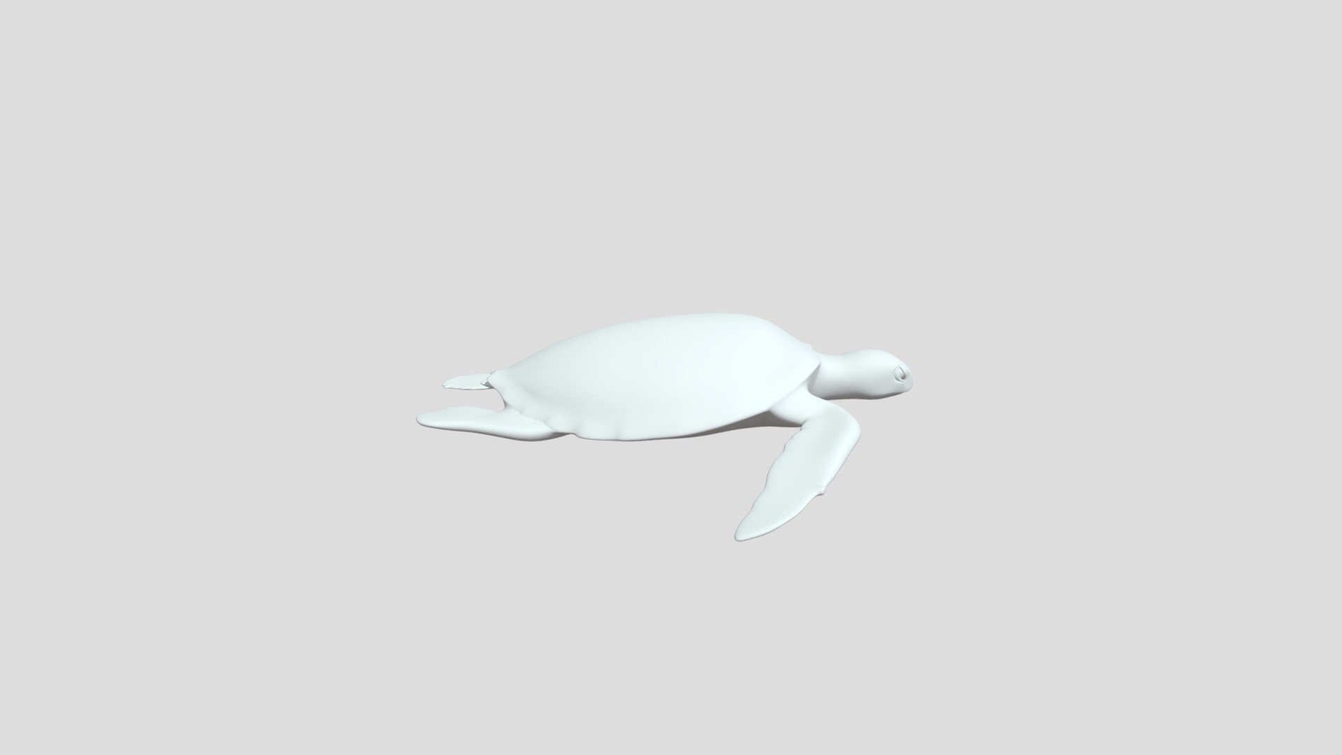 TURTLE - 3D model by avabasa [a37b0e1] - Sketchfab