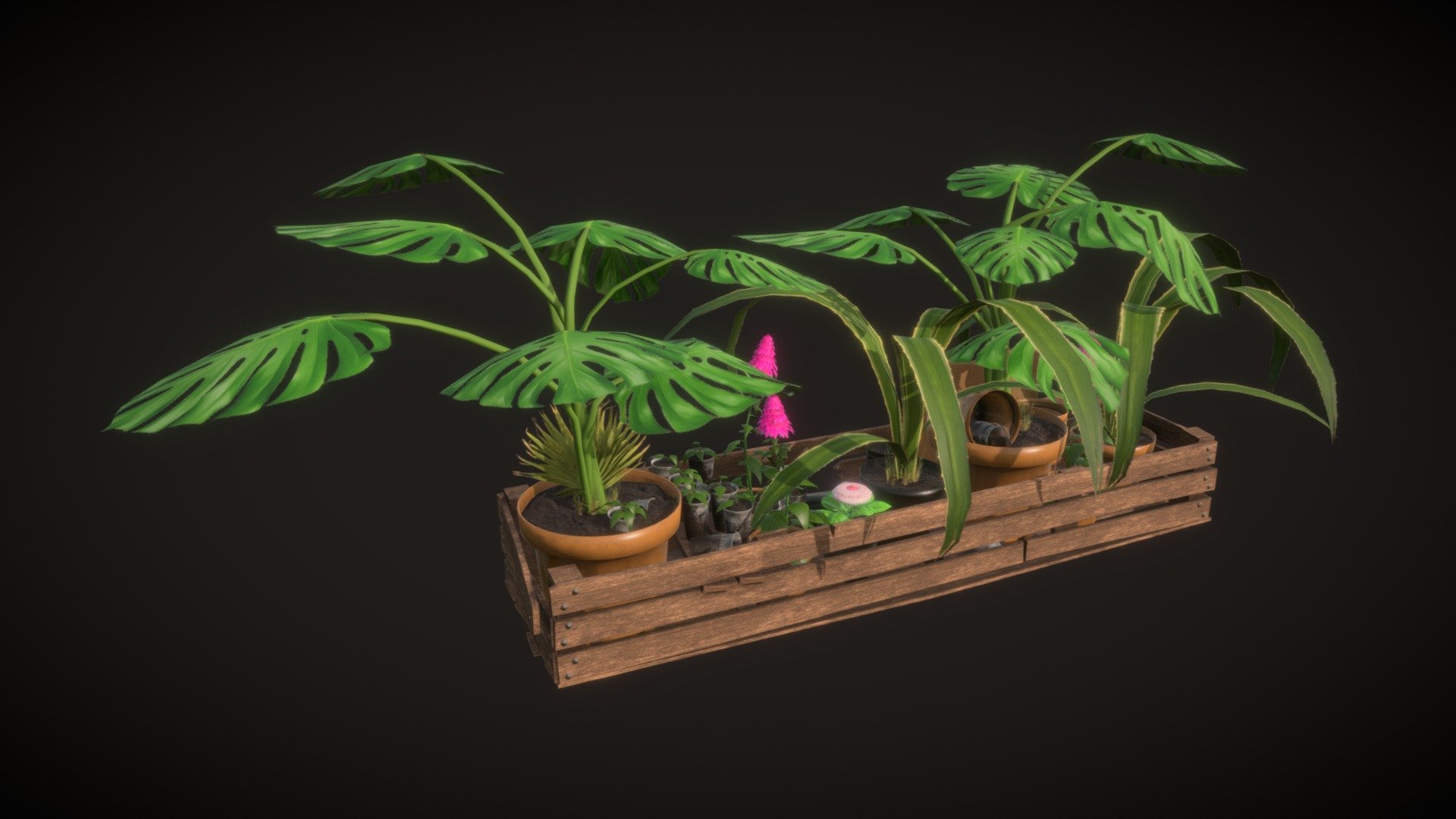 Plants (Foliage study) - Download Free 3D model by Mr Gicu (@MrGicu ...
