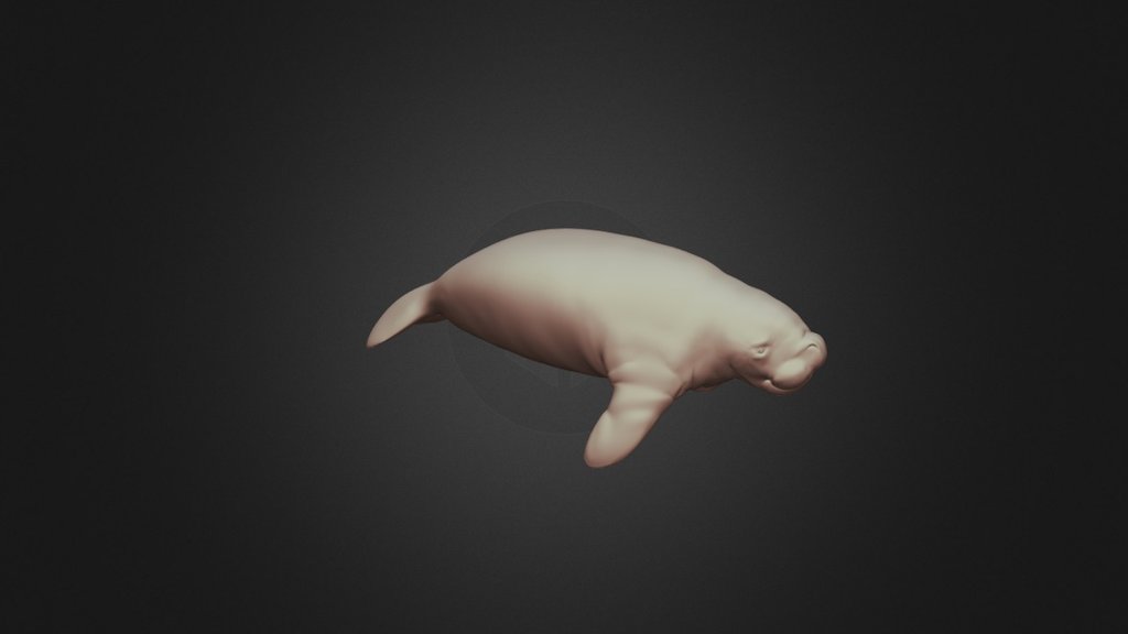 Manatee - 3D model by OmarTavera [a37f3ea] - Sketchfab