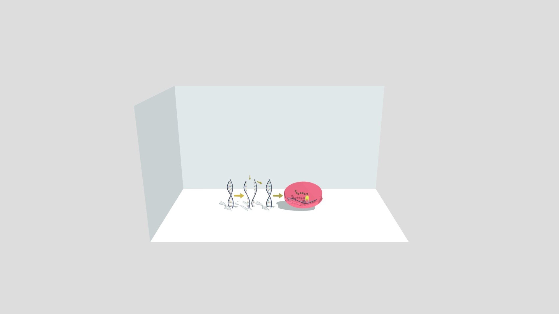 DNA Project - 3D model by DNAproject [a3895d6] - Sketchfab