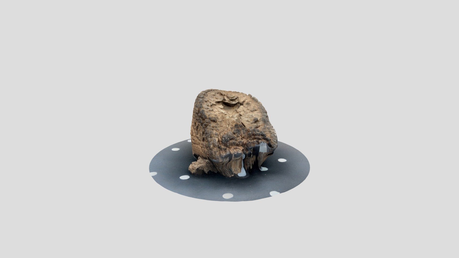 pata 2 - Download Free 3D model by elmonoxido [a38c94a] - Sketchfab