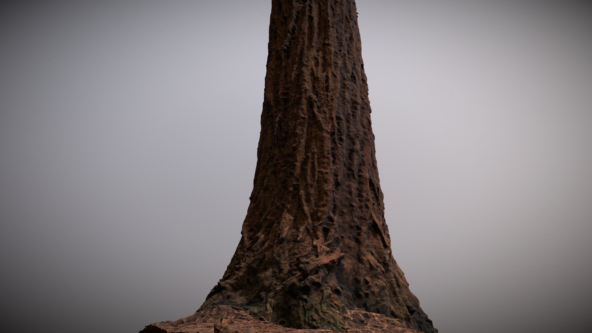 Redwood tree trunk with forest floor base - Download Free 3D model by ...