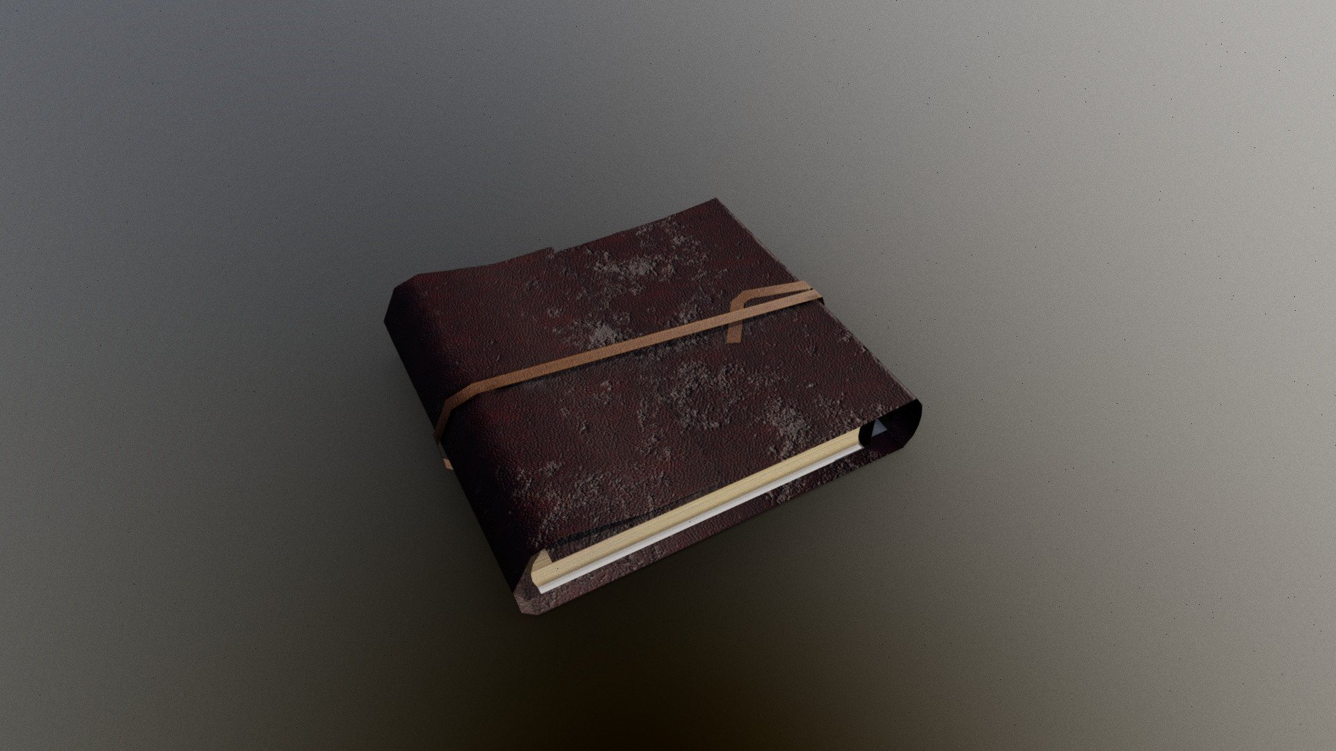 medieval/pirate book with leather binder - 3D model by be a fish (@be_a ...