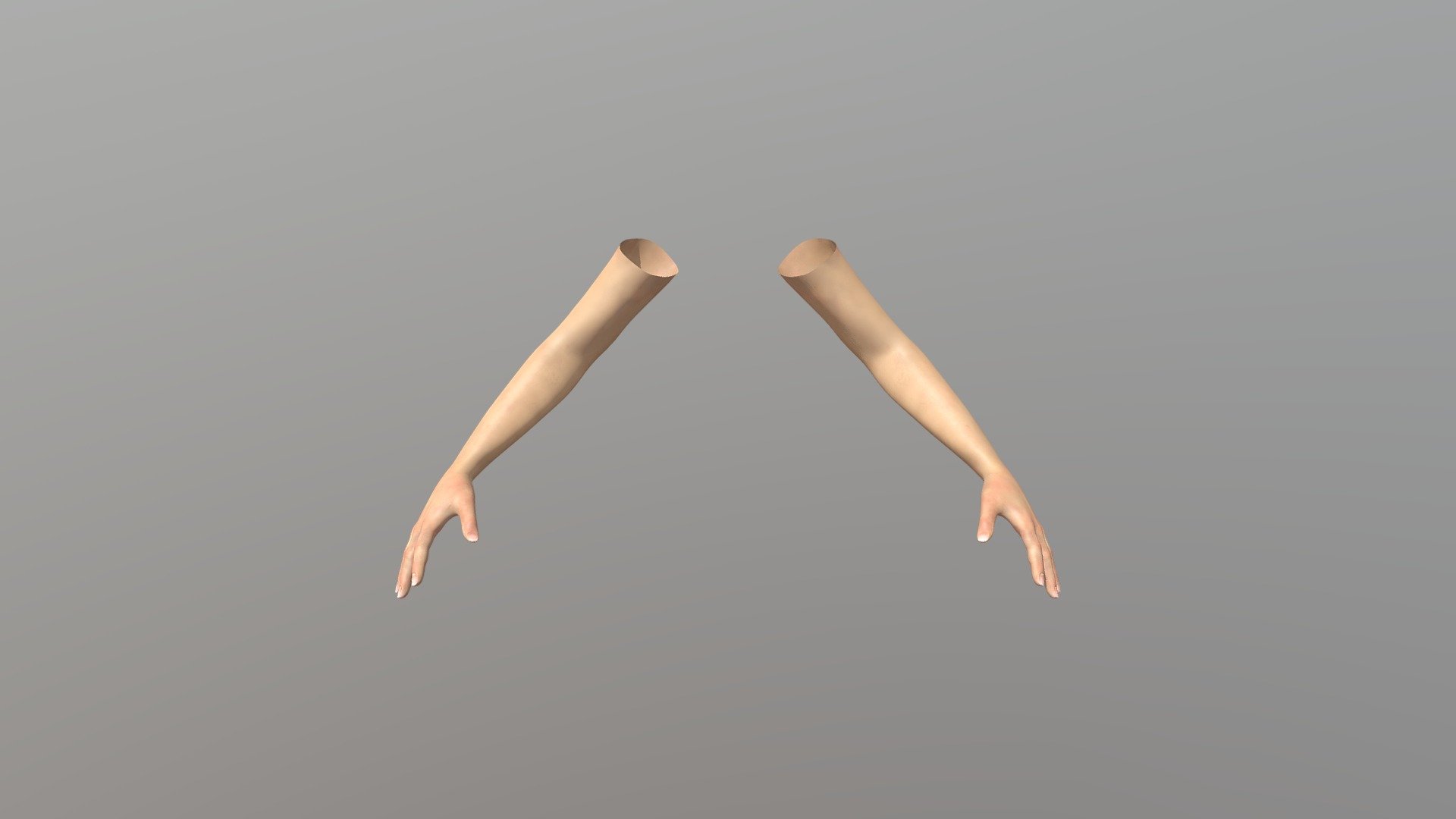 Arms (female) - Download Free 3D model by BG_3D bank (@yiif) [a396c0b ...