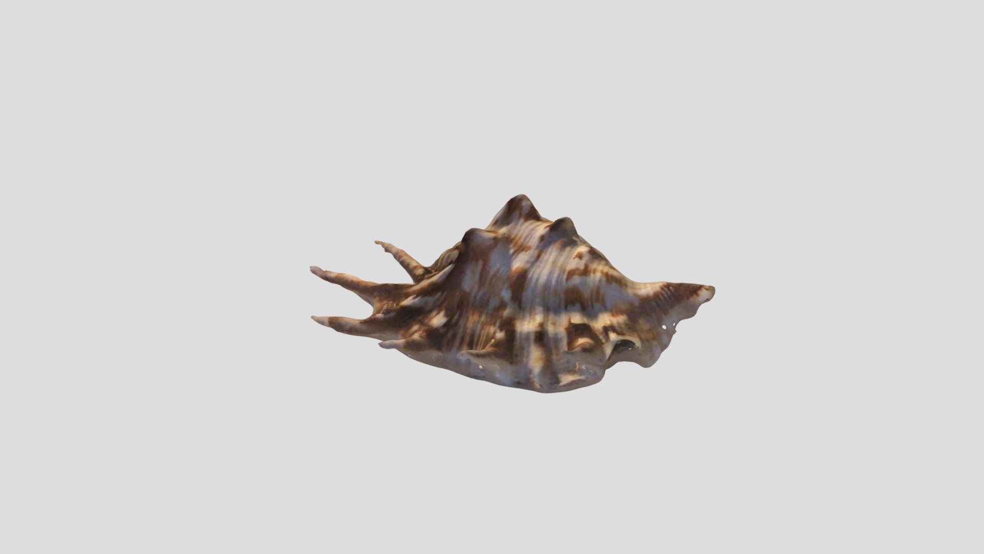 Csiga - Download Free 3D model by Patrik.Simon [a3ac0eb] - Sketchfab