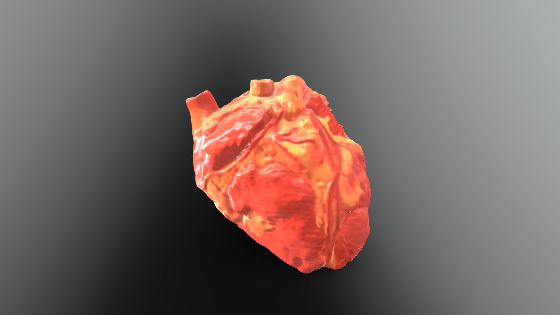 HEART POLYJET COLOR 2 SHAPEWAYS - 3D model by Esteban Barreiro [Bankito ...