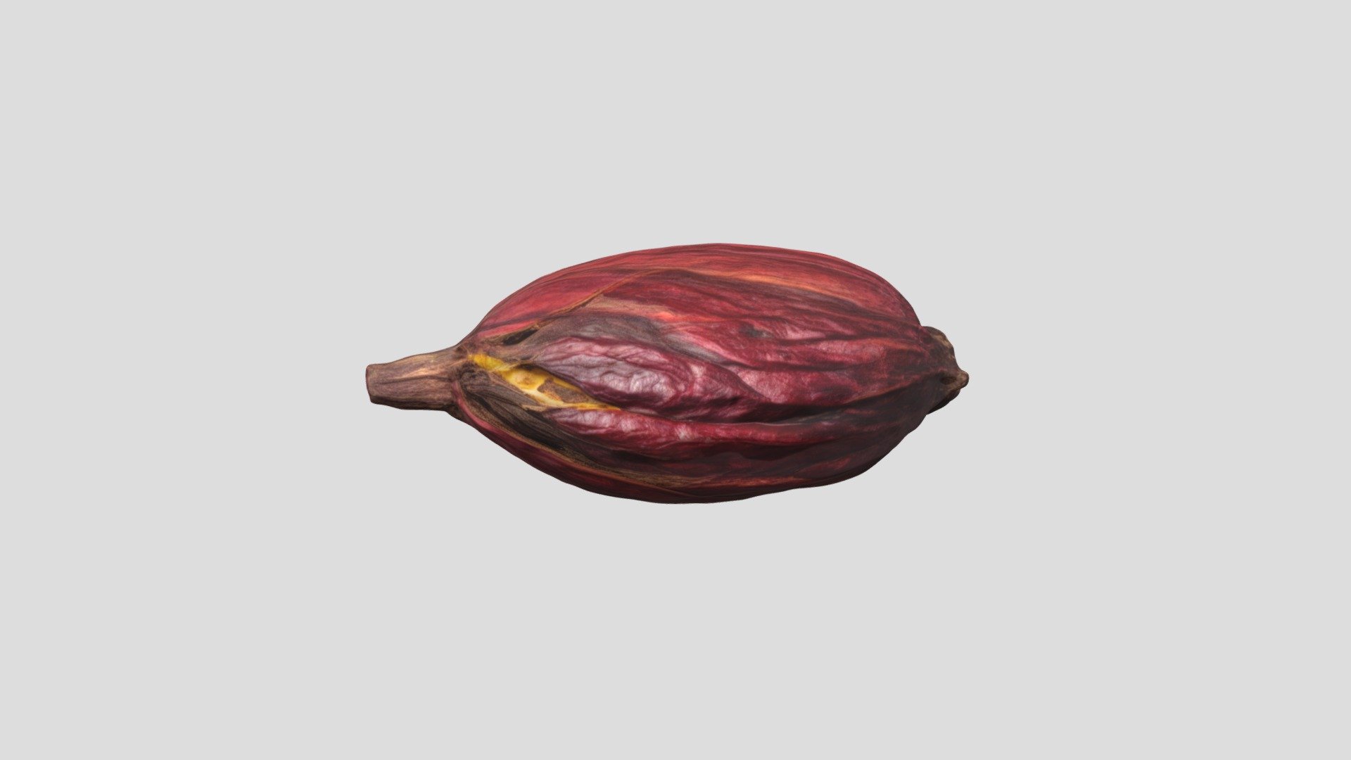 Cocoa_ Pod_0905044826 - Download Free 3D model by arjitasarkar2811 ...