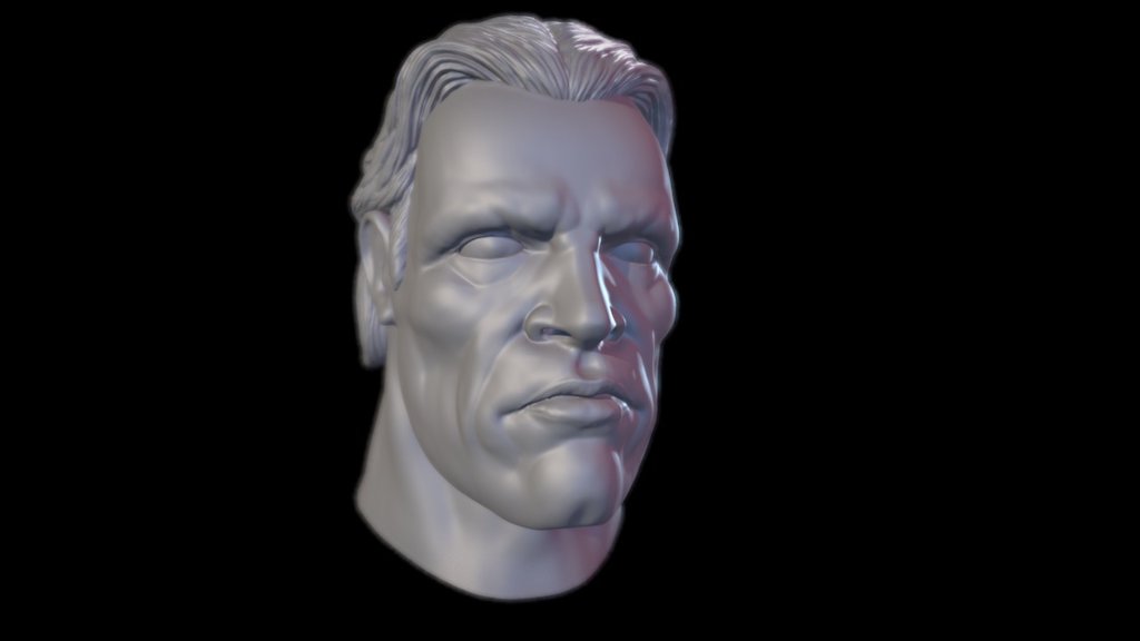 Head Test Sculpt - 3D model by edbrillant [a3b557b] - Sketchfab