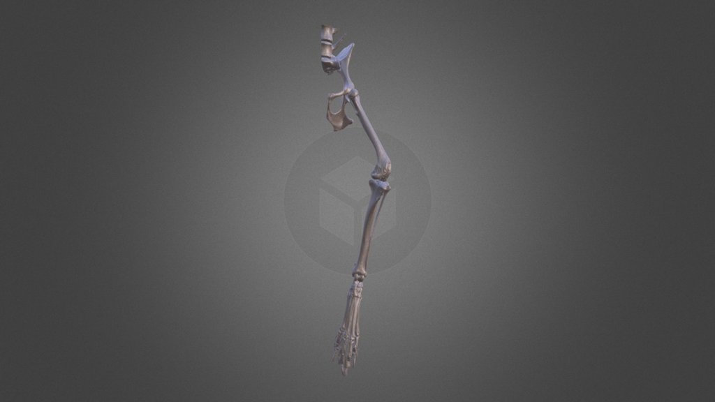 Dobby Full Leg - 3D model by Mission 3D (@mission3d) [a3b69b0] - Sketchfab