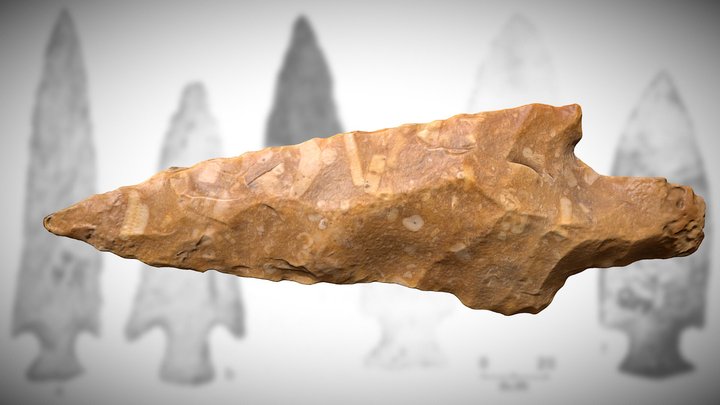 Arrowhead 3D models - Sketchfab