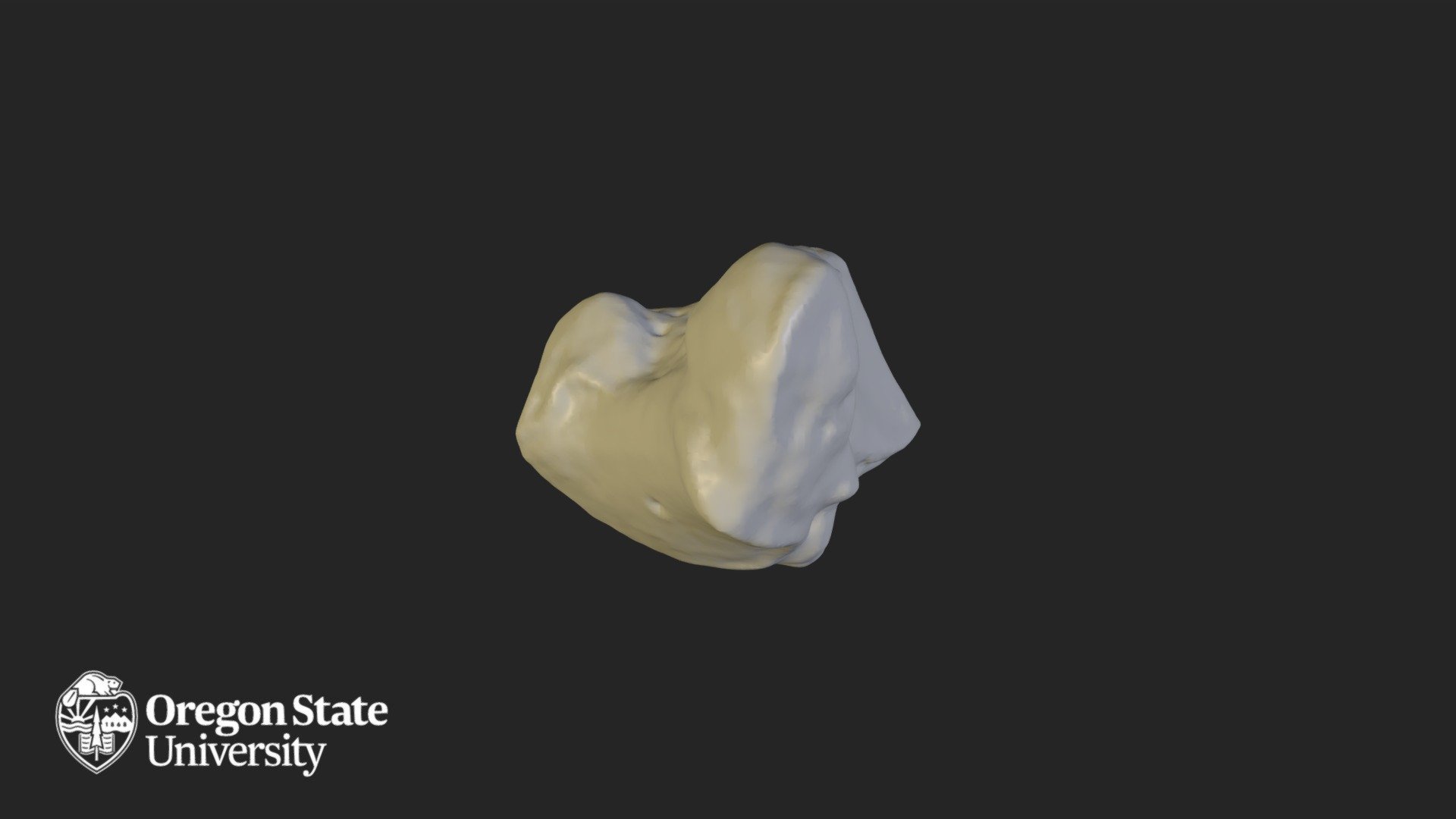 Trapezium - Download Free 3D model by Oregon State University | Ecampus ...
