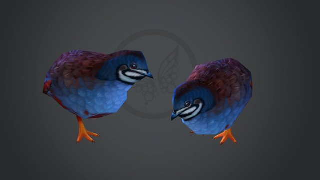 Quail 3D models - Sketchfab