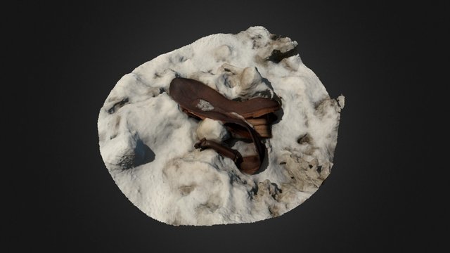 Gamut 3D models - Sketchfab