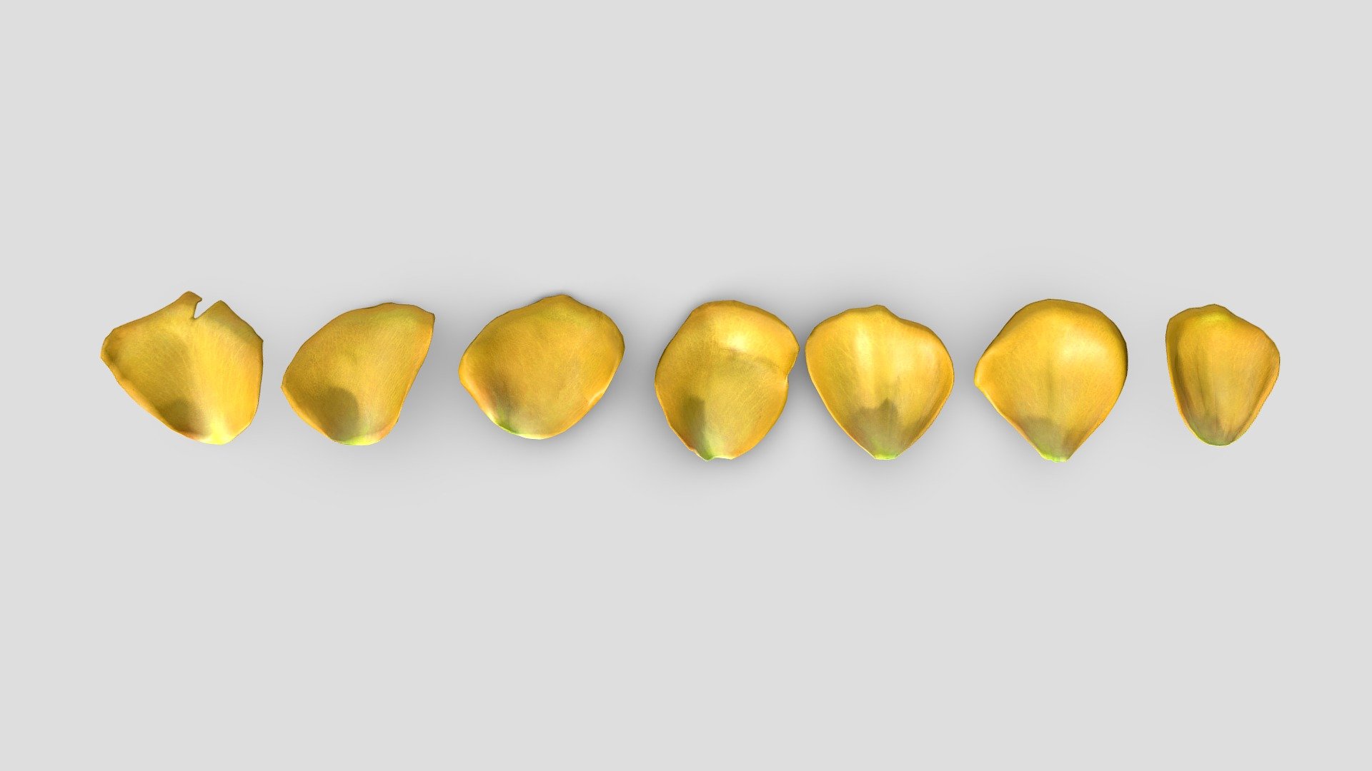Yellow Rose Petals - Buy Royalty Free 3D model by CyberFox 3D Studio ...