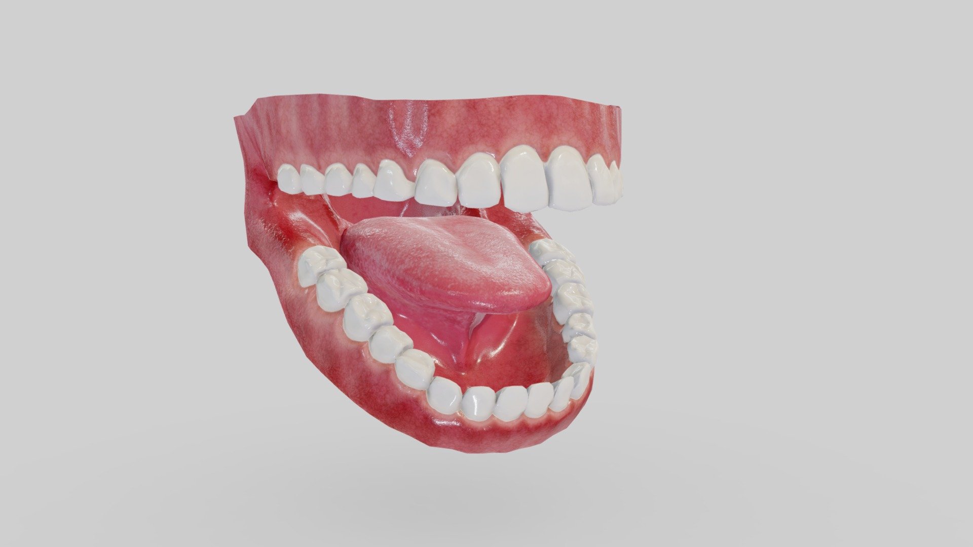 Realistic Low Poly Mouth 3d Model Buy Royalty Free 3d Model By Raymorel A3e422f Sketchfab 
