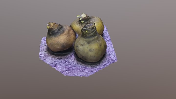 Turnip 3D models - Sketchfab
