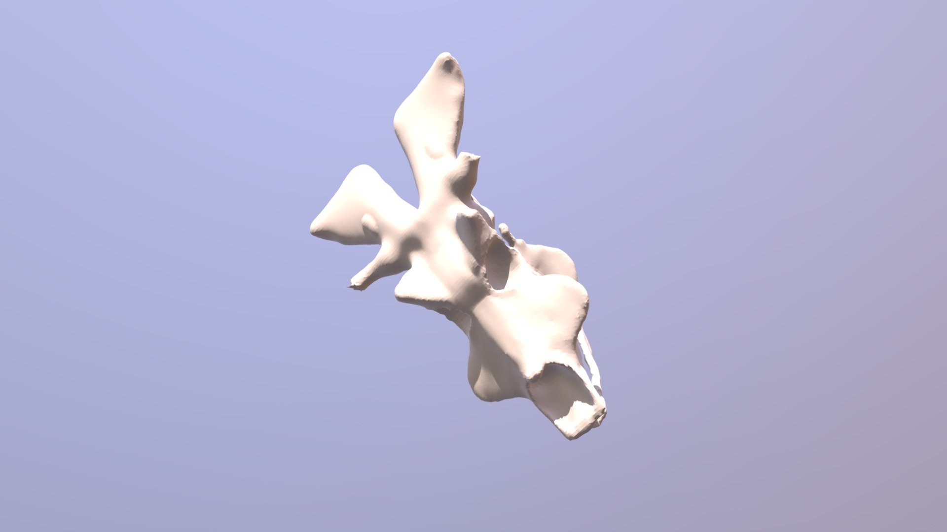 unknown skull - Download Free 3D model by Evan Pachon (@Evanpachon ...