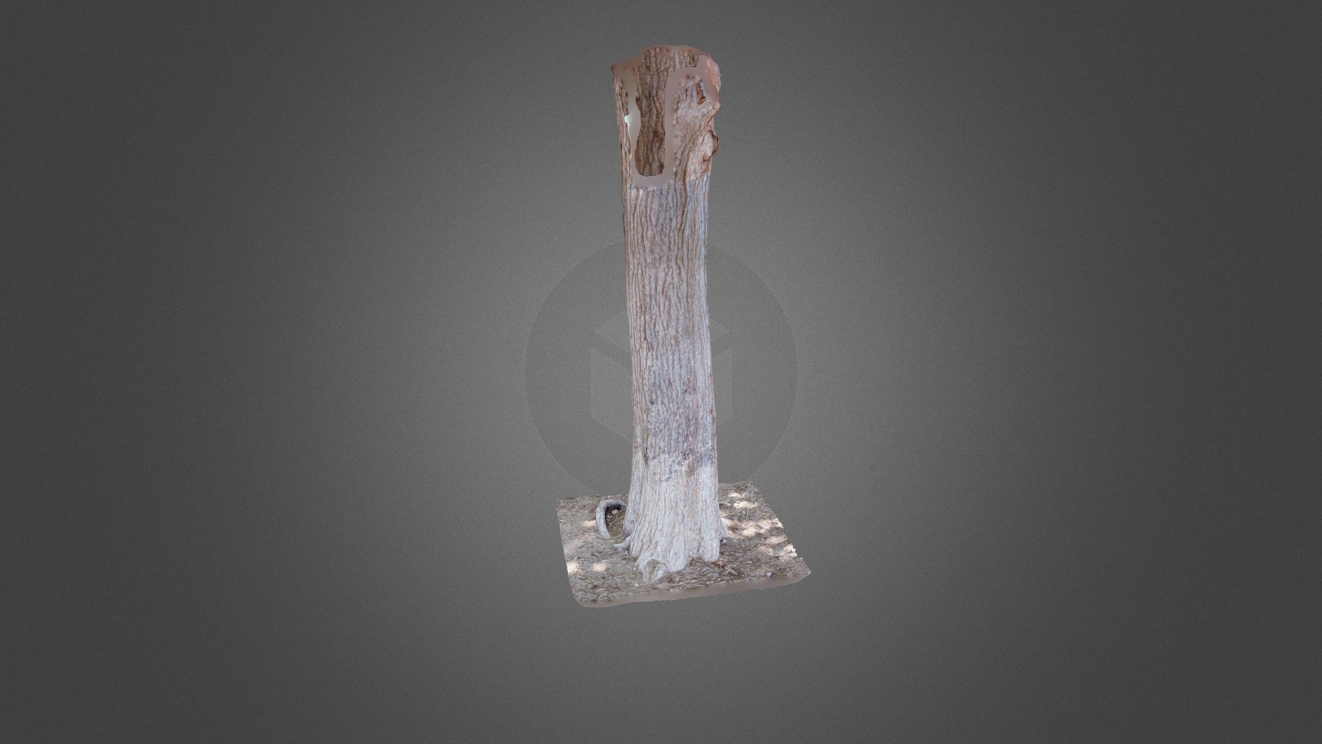 Tree's body - Download Free 3D model by Mohab Mohamed Naguib ...