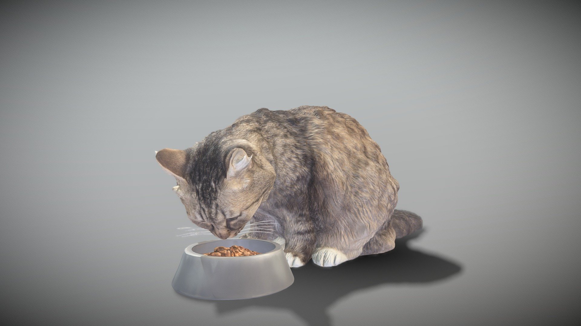 Fluffy cat 22 - Buy Royalty Free 3D model by deep3dstudio [a426941 ...