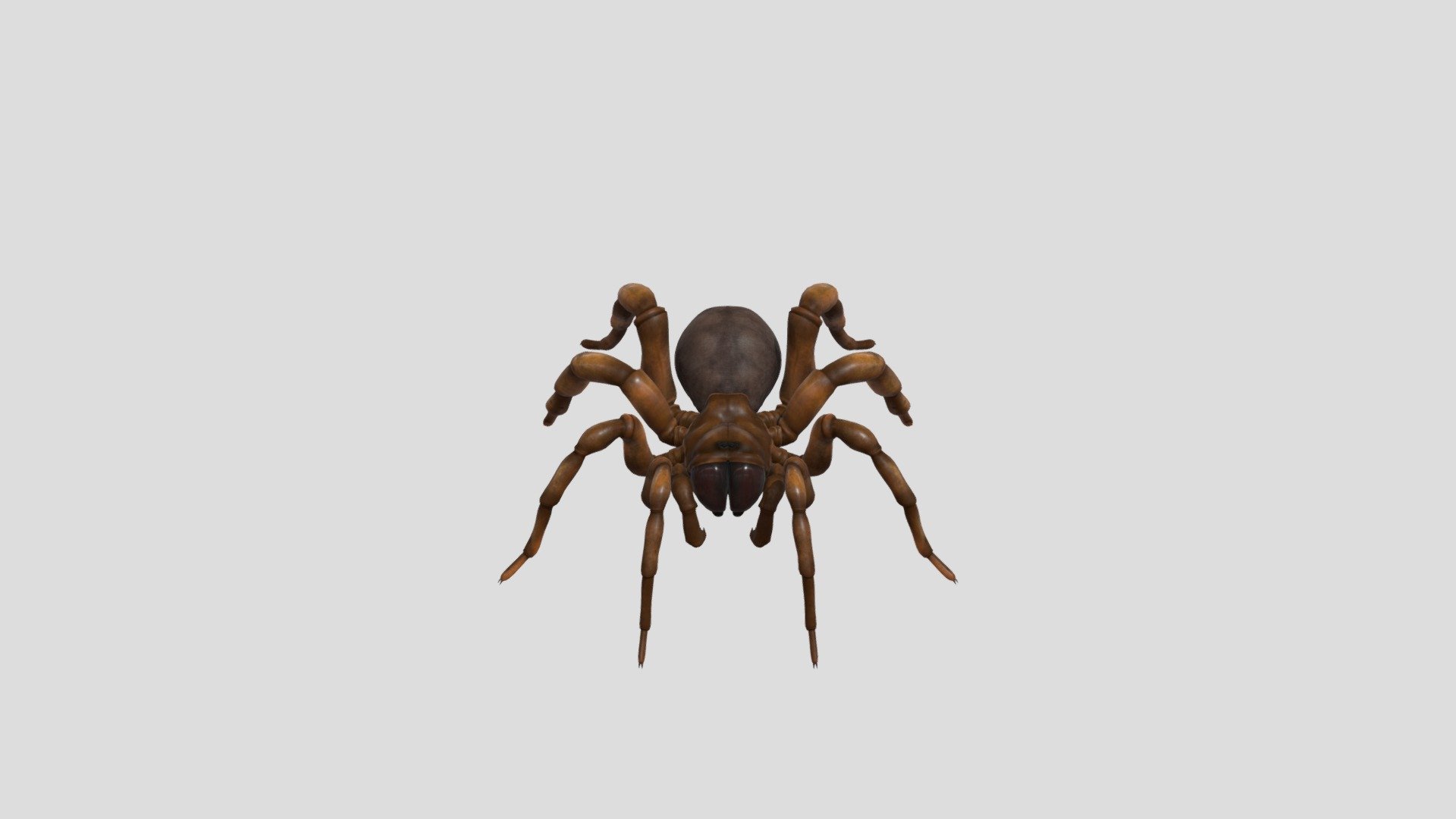 Spider 3D Model - Download Free 3D model by Rully Pramudita ...
