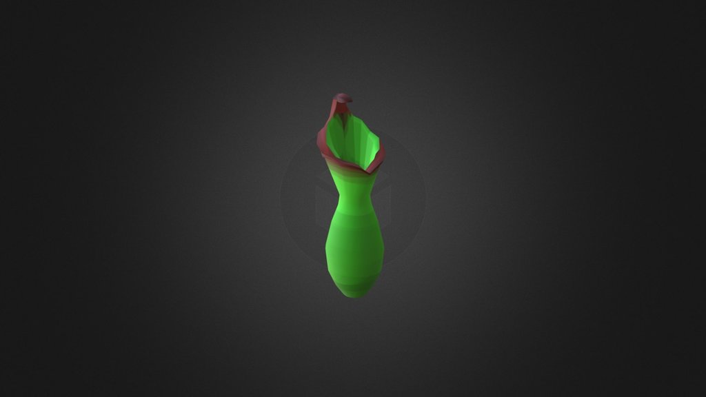 HELIAMPHORA - 3D model by Beth-Wright [a434ba4] - Sketchfab