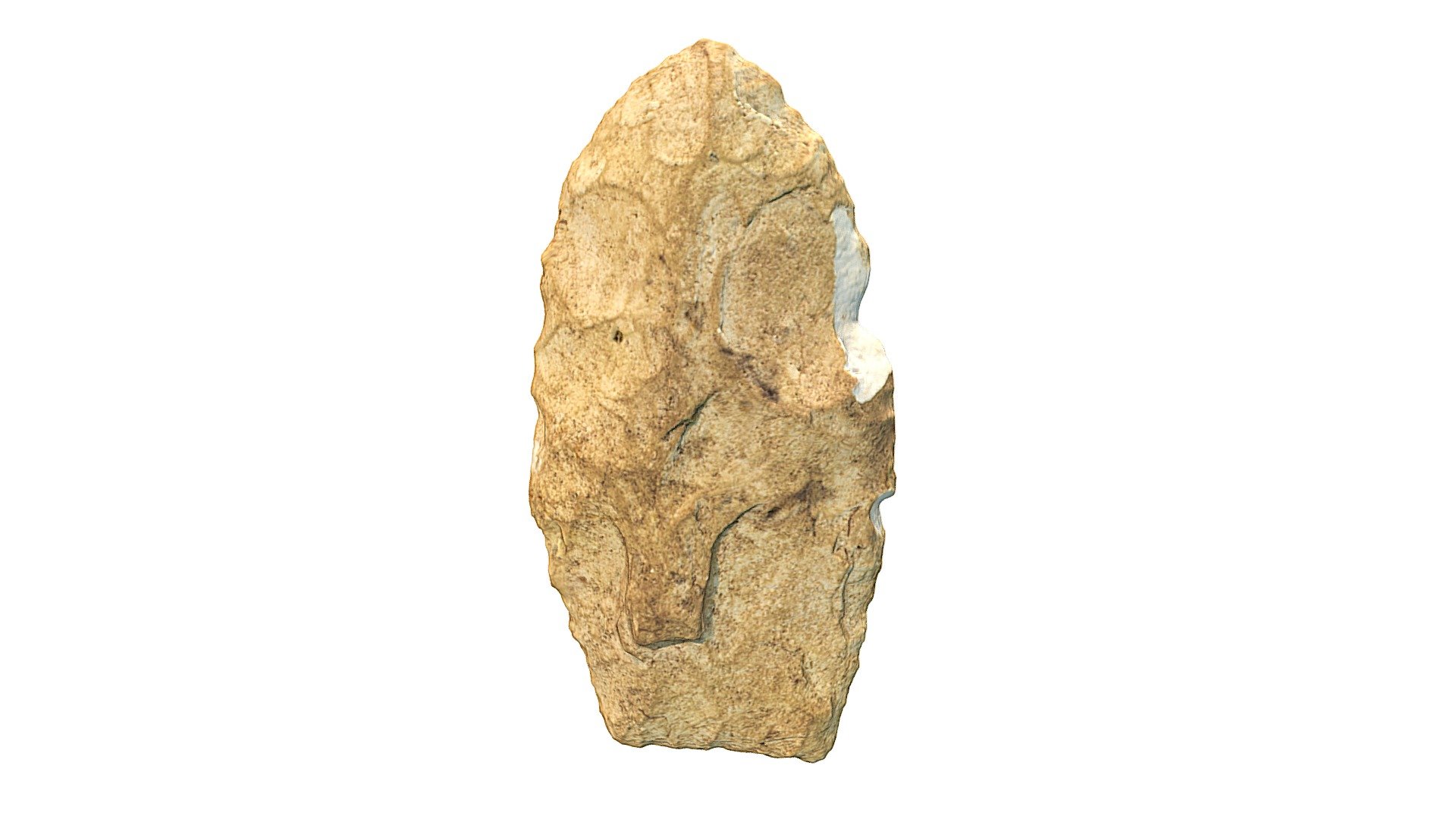 Paleoindian Period Projectile Point - 3D model by University of South ...