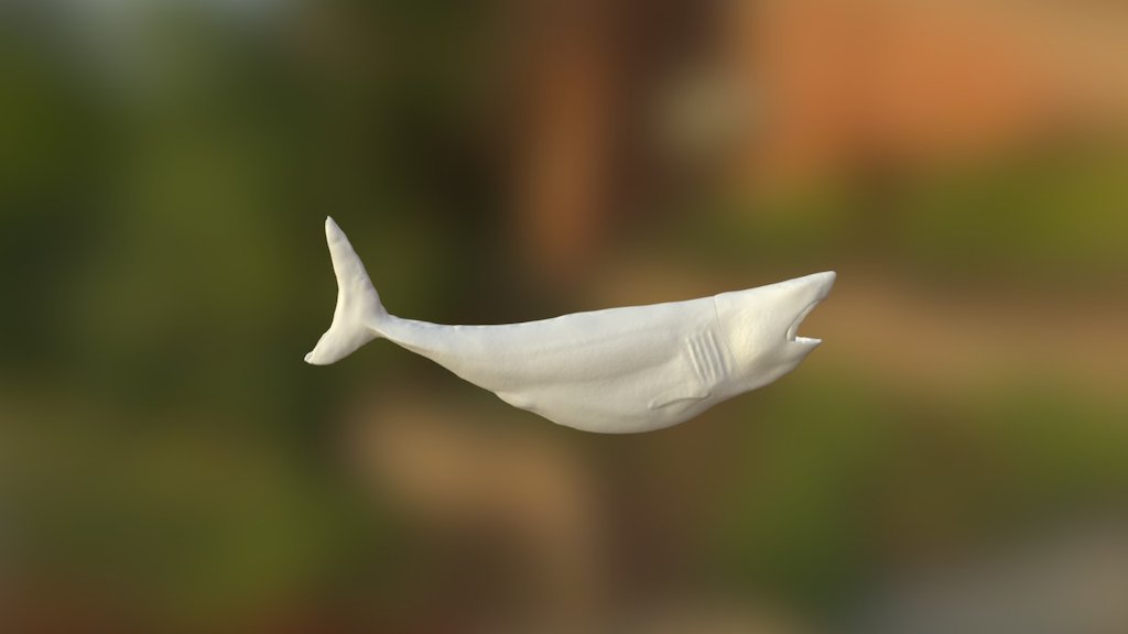 White Pointer Full - 3D model by mini-U [a436391] - Sketchfab