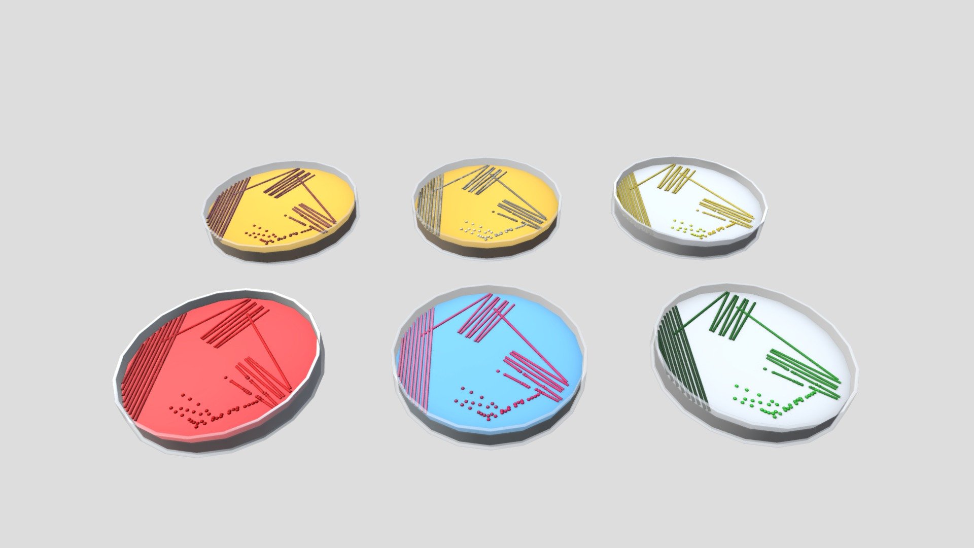 Bacteria - 3D model by Ferrari191992 [a43c7d9] - Sketchfab