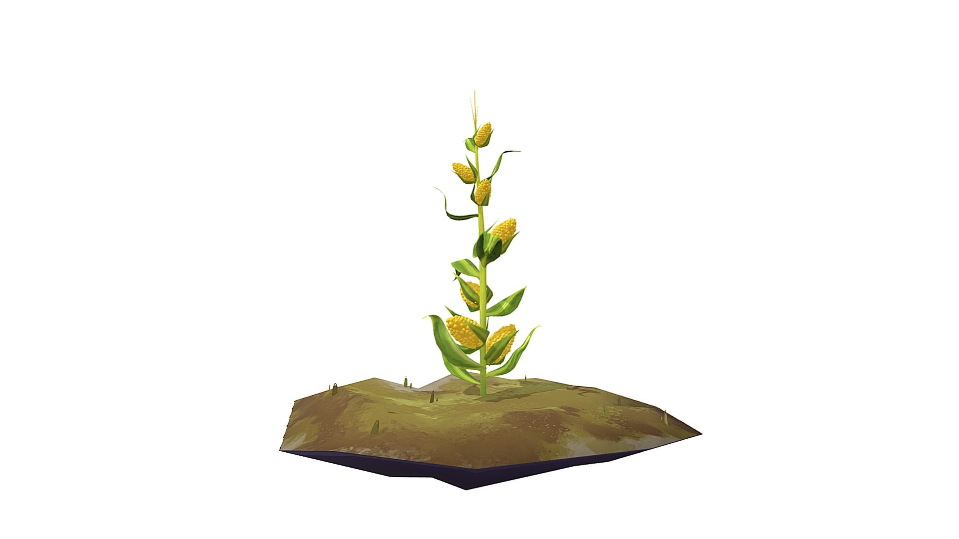Corn - Download Free 3D model by Bjarne Stokhof (@stokhuis) [a4541bf ...