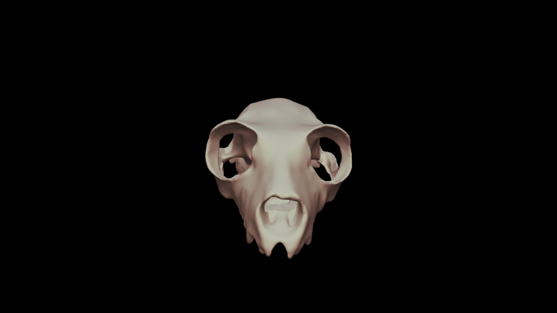 Indri Top - Download Free 3D model by upeshnepal1 [a459ffb] - Sketchfab
