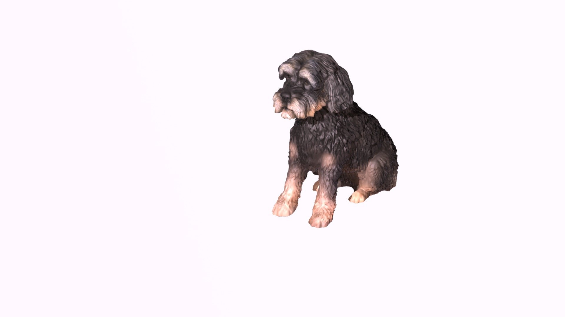 1810004- Frisker- Cockapoo - 3D model by Arty Lobster - Pet Sculptures ...