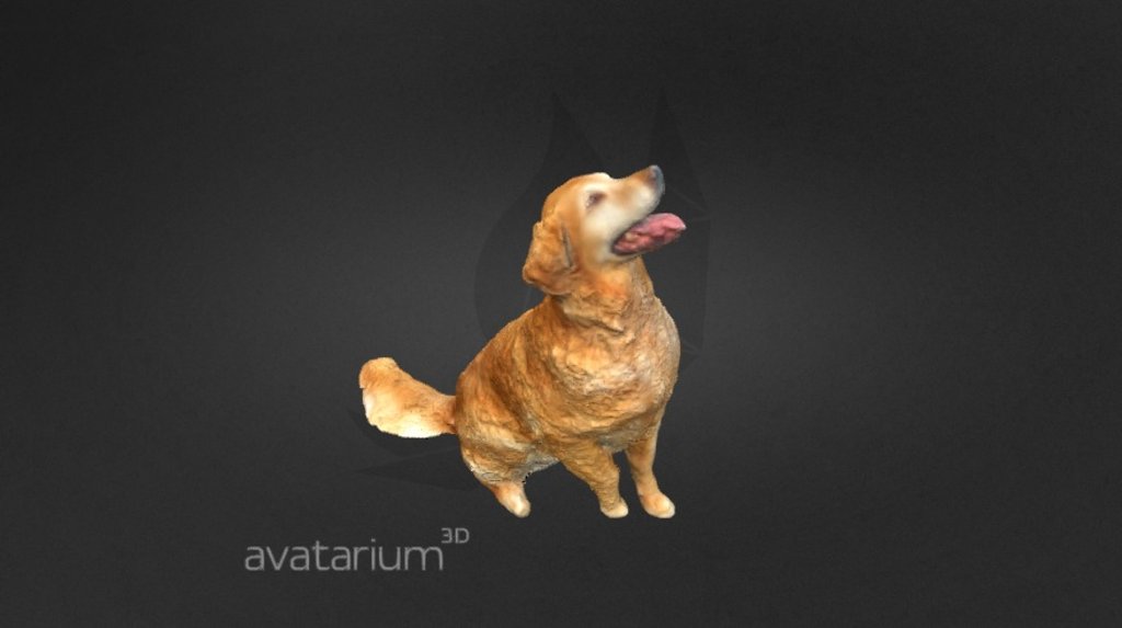 Riley Dog Sitting - 3D model by Avatarium 3D (@avatarium3d) [a460323 ...