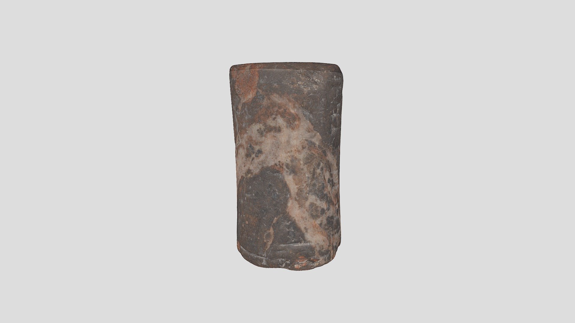 YPM BC.037166 (NCBS 00269) - Download Free 3D model by Yale Peabody ...