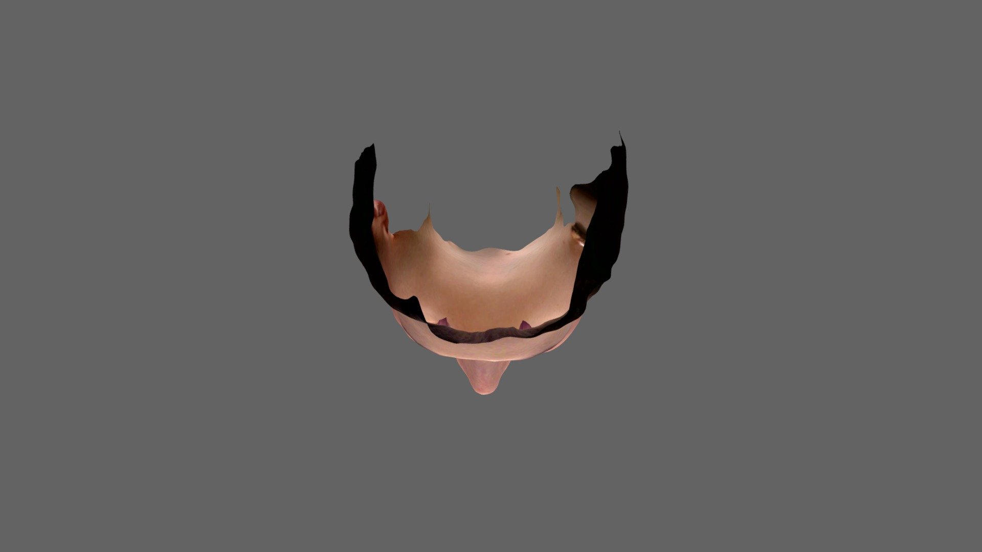 Smile - Download Free 3D model by aseridi [a469f34] - Sketchfab