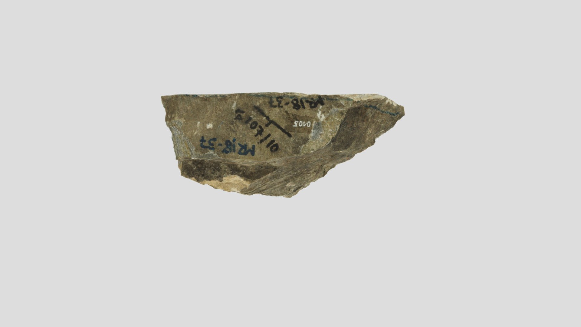 New Jena specimen - 3D model by Marko Vrabec (@okram) [a46ce3a] - Sketchfab