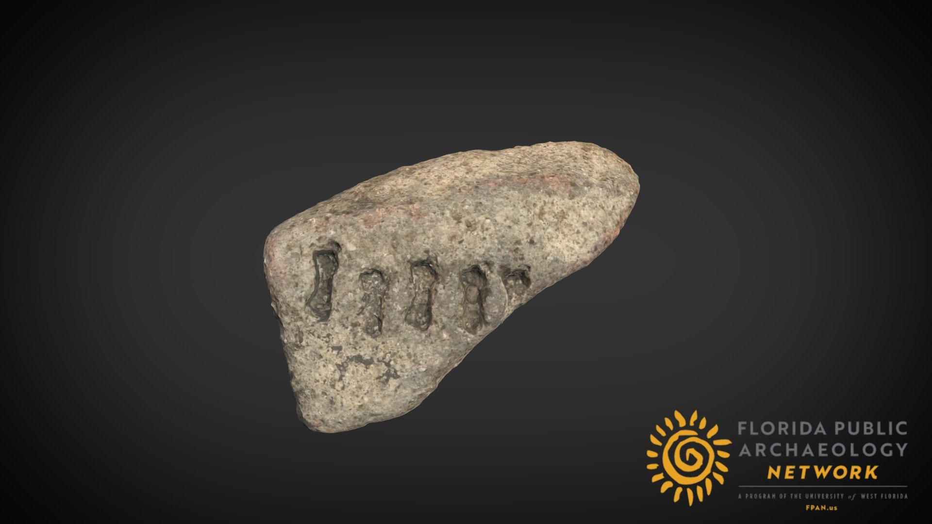 Punctated Sand Temper Sherd - Download Free 3D model by Florida Public ...