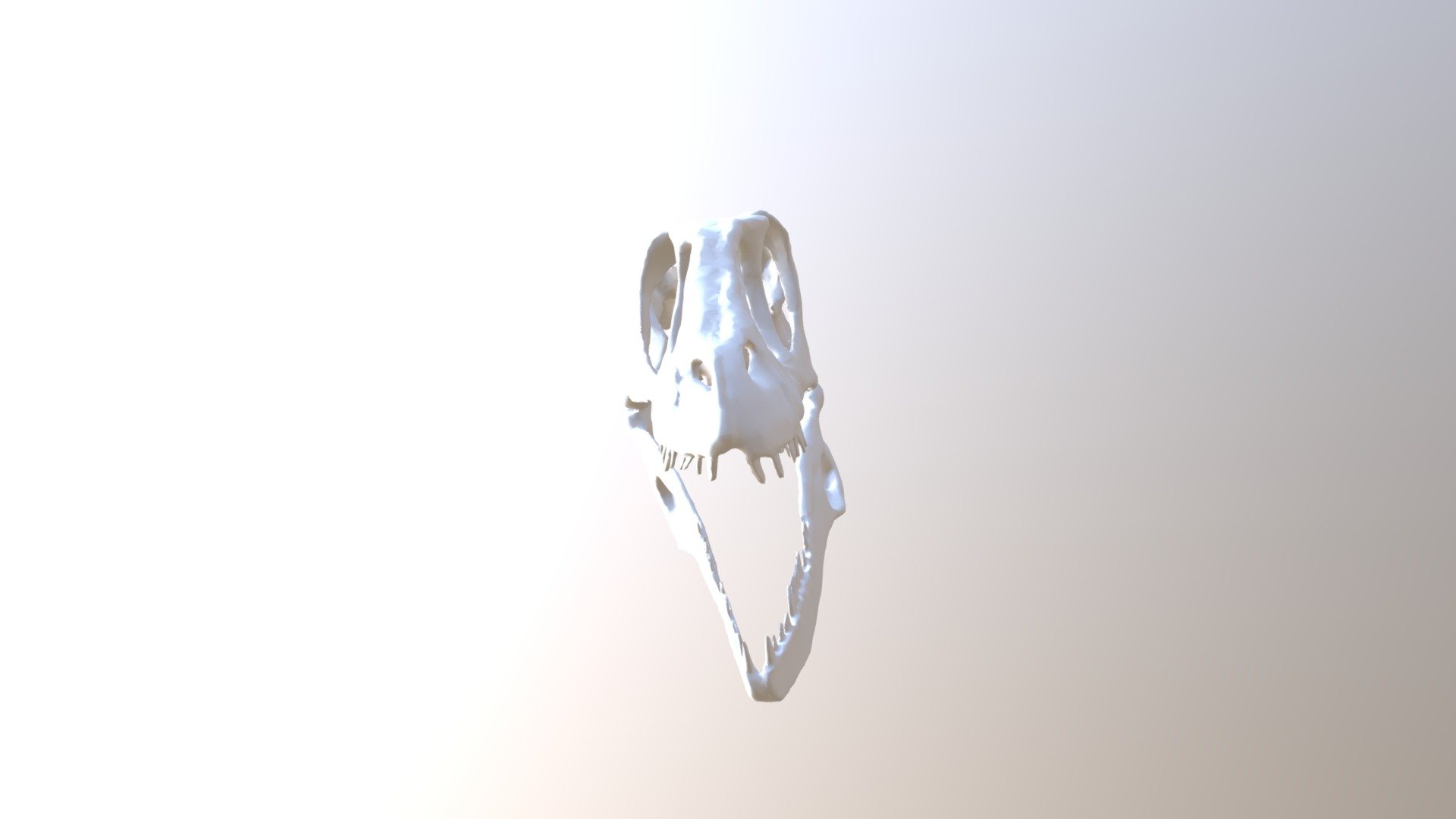 Raptor skull - Download Free 3D model by Rafa Arango (@arangosolorzano ...