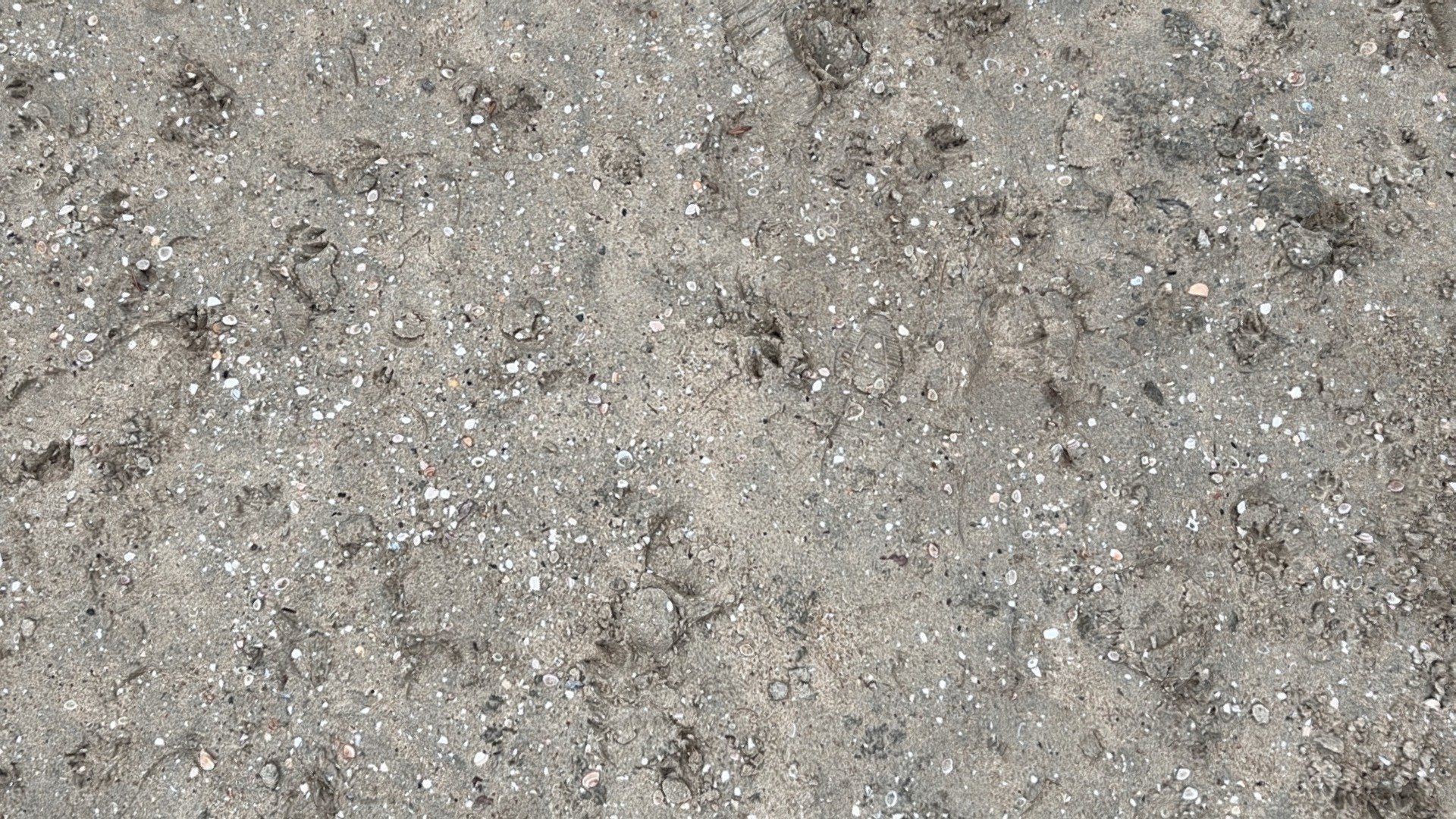 3d Sand Texture - Download Free 3D model by CrowsEpicScans [a47d57f ...